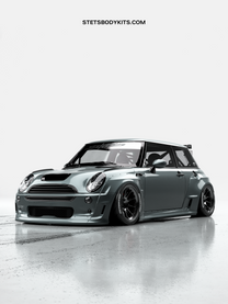 MINI Cooper S R50/R53 widebody kit – STETS